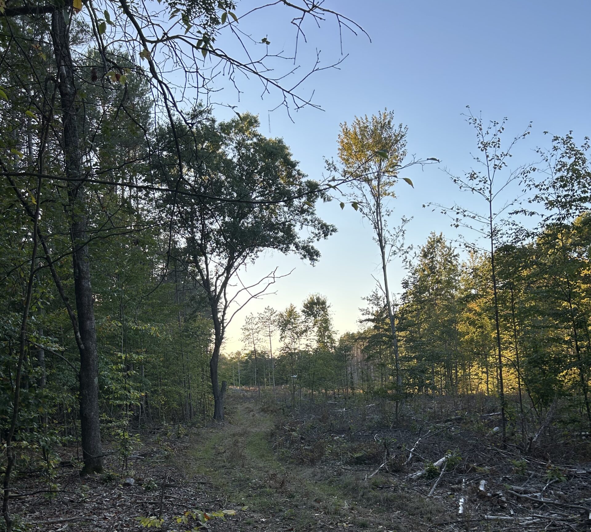 The great outdoors – The Ferris State Torch